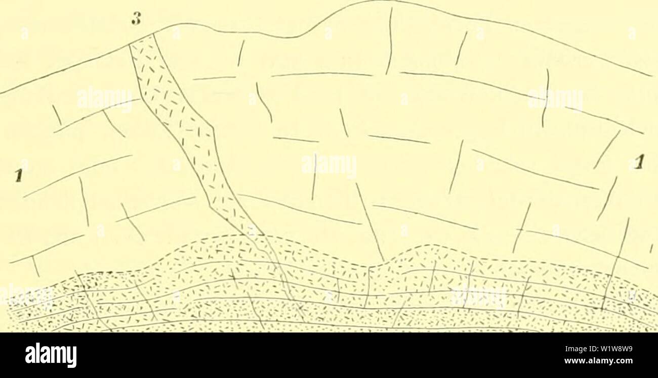 Archive image from page 616 of Denkschriften der Kaiserlichen Akademie ...