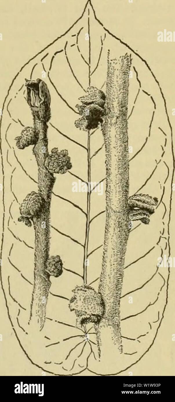 Rubber milk drops hi-res stock photography and images - Alamy