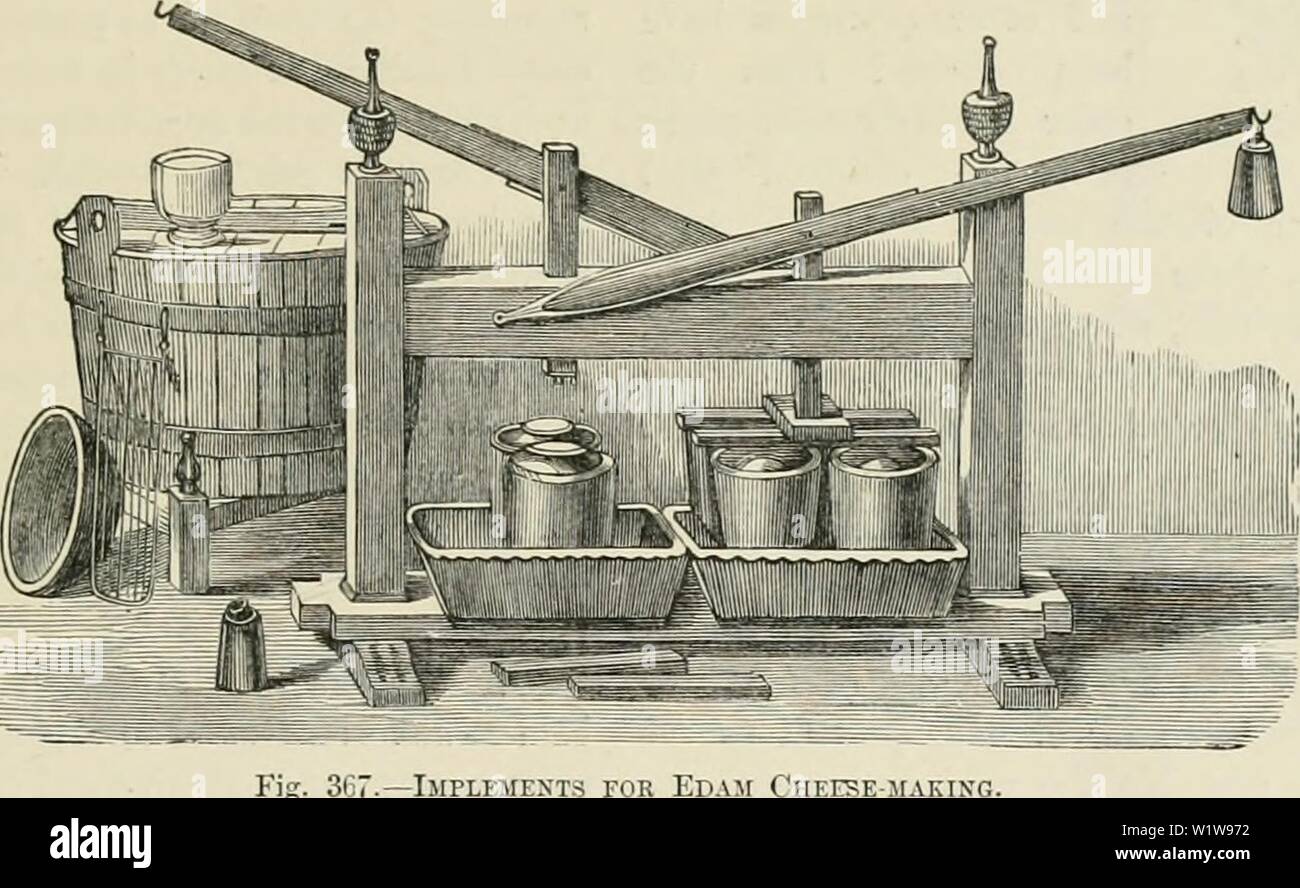 Archive image from page 624 of Dairy farming being the. Dairy farming ...