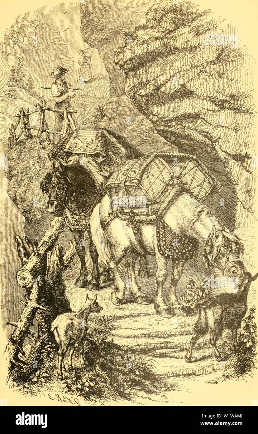 Archive image from page 648 of Das Thierleben der Alpenwelt Stock Photo ...