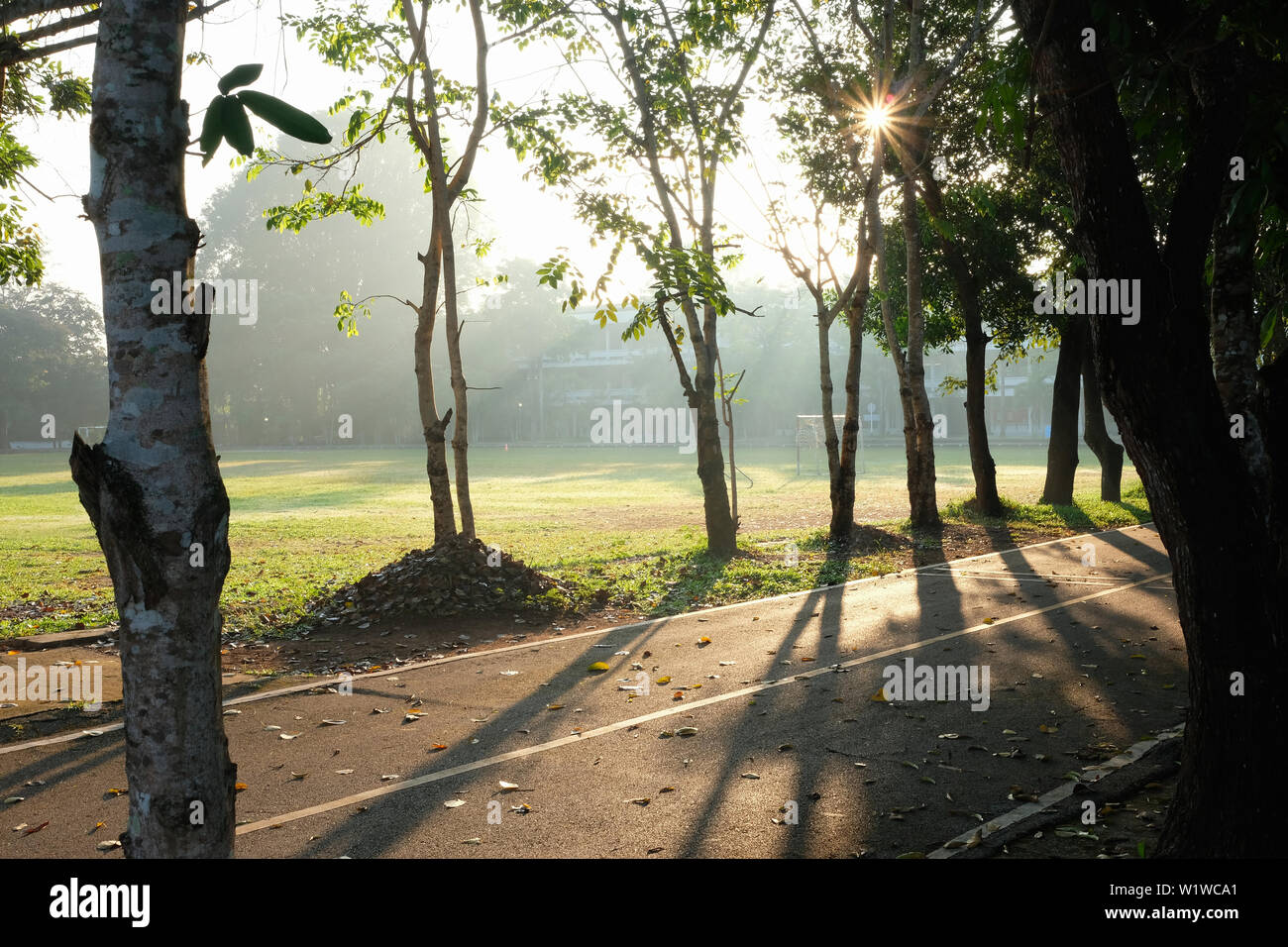 Beautiful nature around the road and landscape scenery background in ...