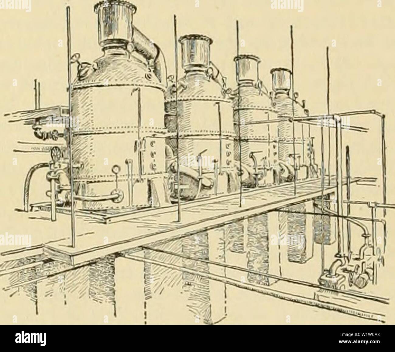 Archive image from page 693 of Cyclopedia of farm crops (1922 Stock ...