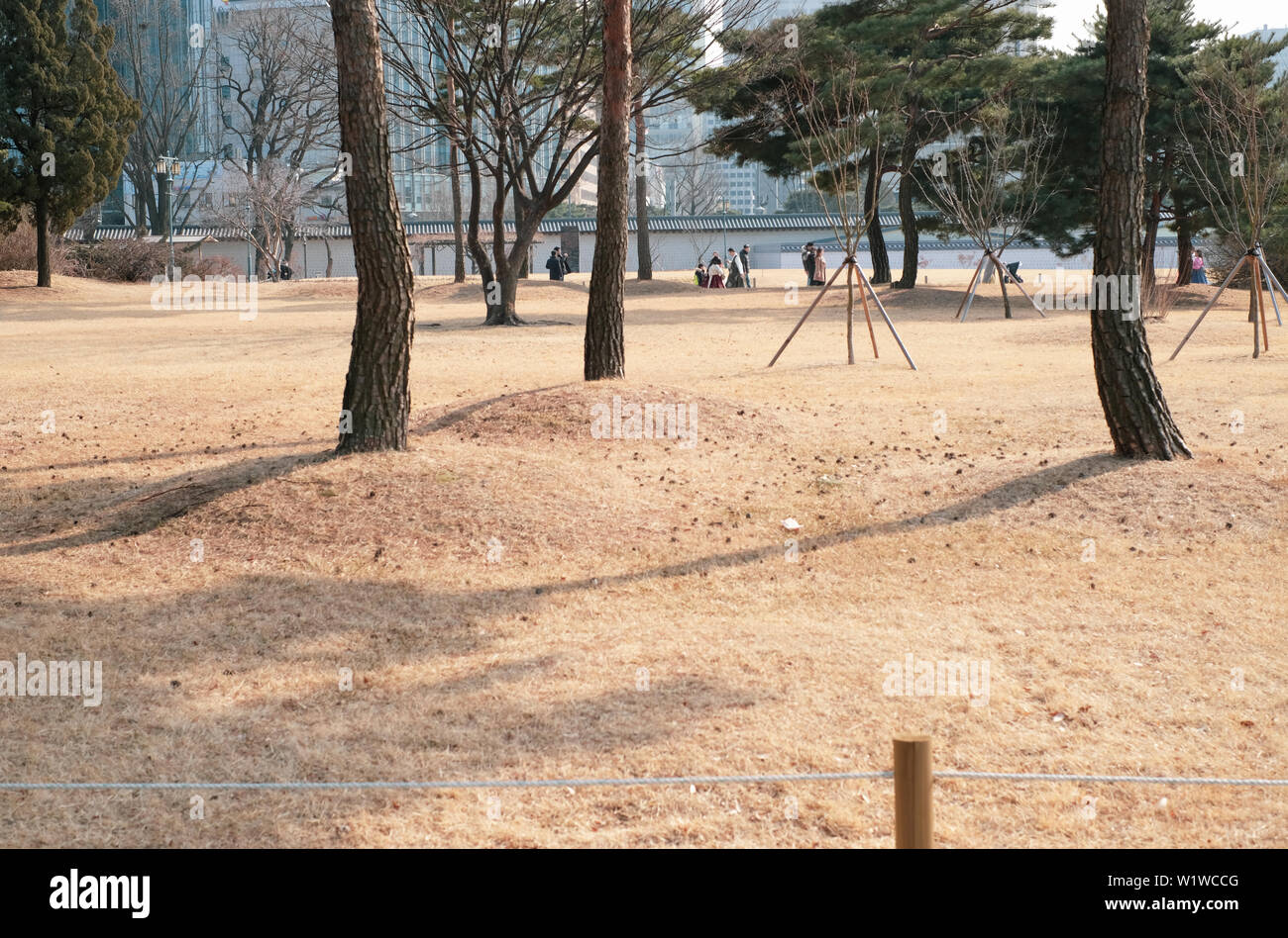 City park landscape thin hi-res stock photography and images - Alamy