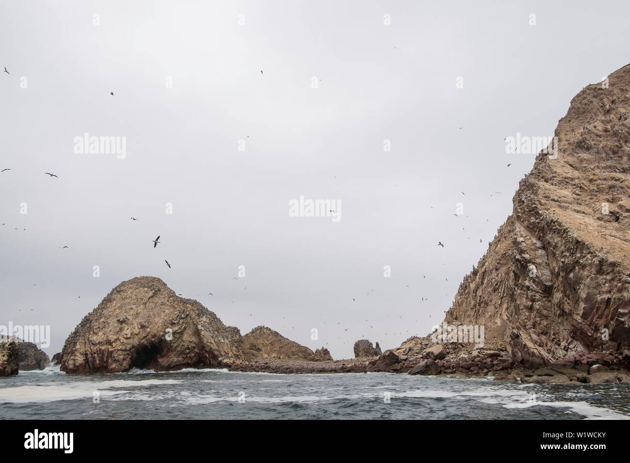 Perù, Ballestas Islands Stock Photo - Alamy