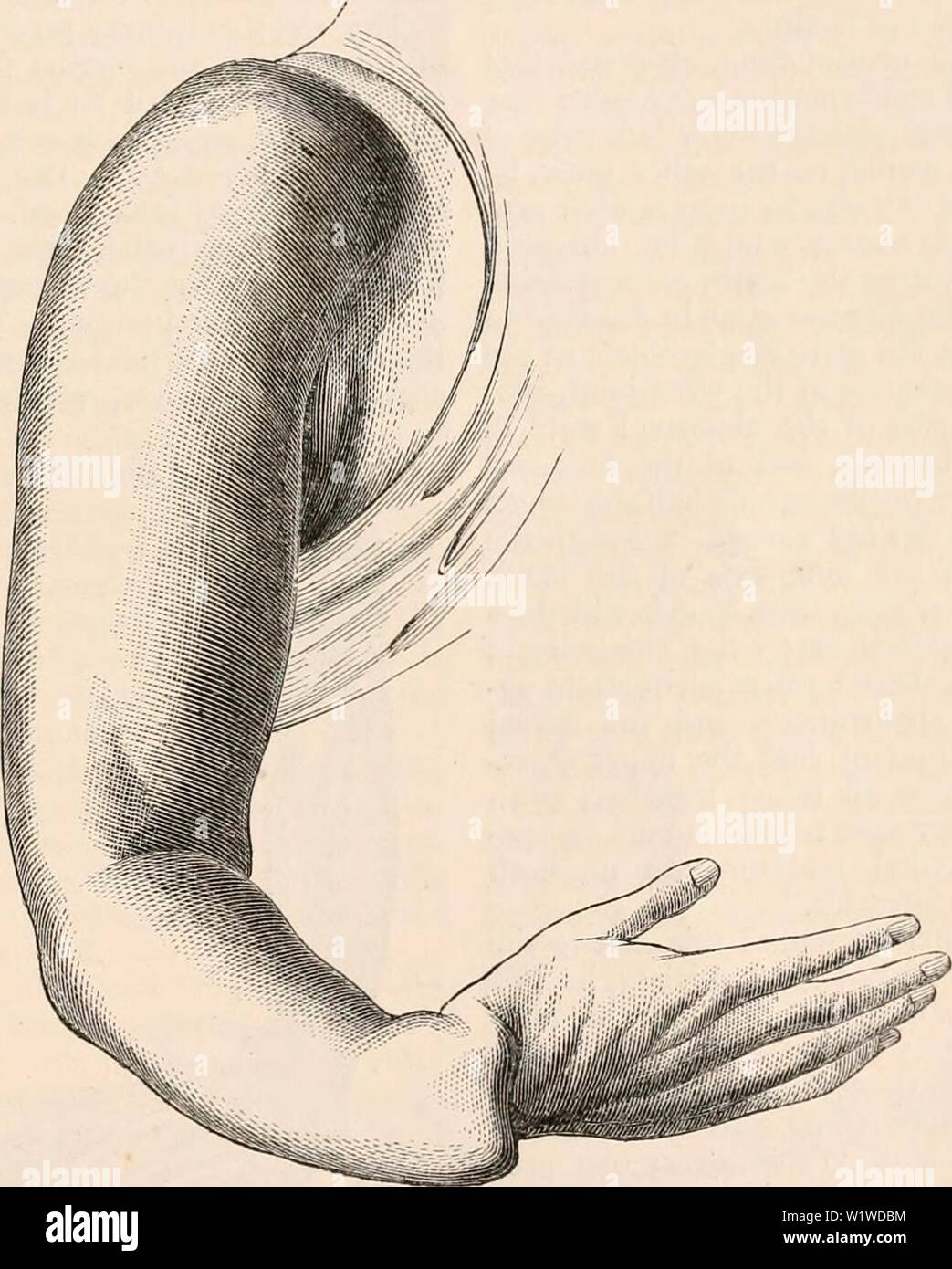 Two forearms hi-res stock photography and images - Alamy