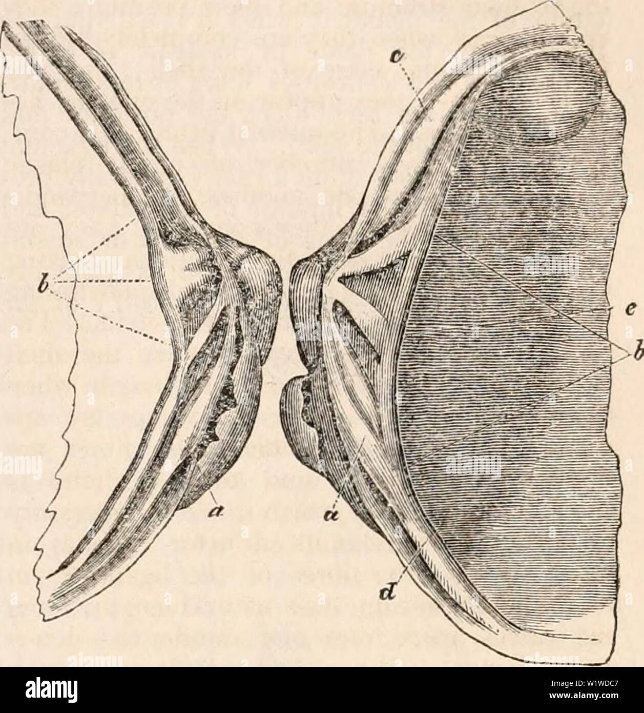 Fact edge hi-res stock photography and images - Alamy