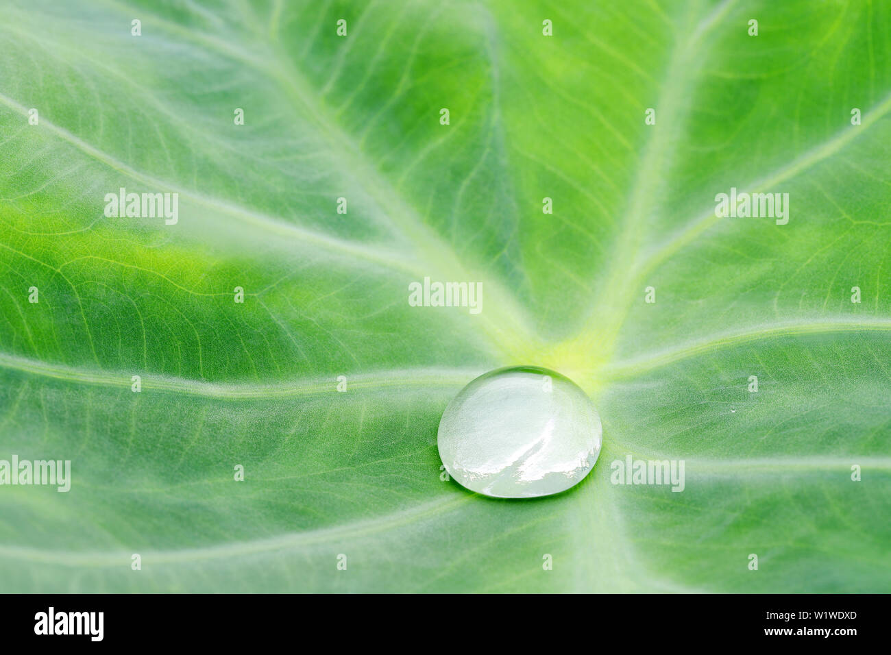 Wet lens texture hi-res stock photography and images - Alamy