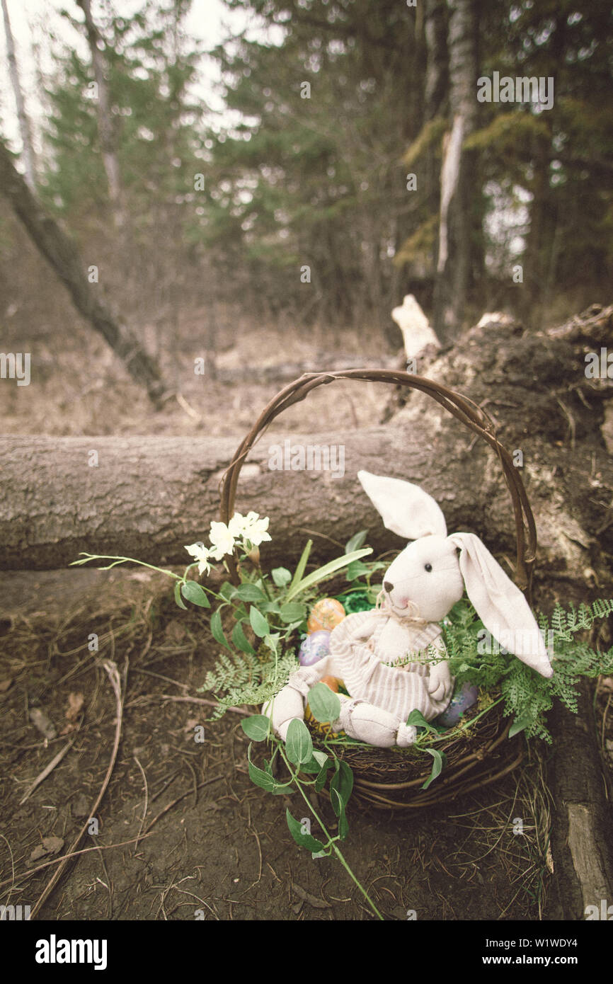 Easter in the woods Stock Photo - Alamy