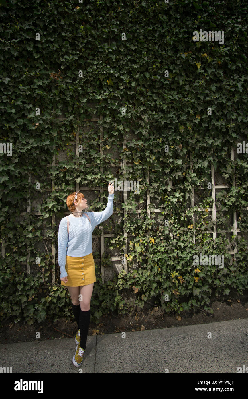 Vinewall hi-res stock photography and images - Alamy