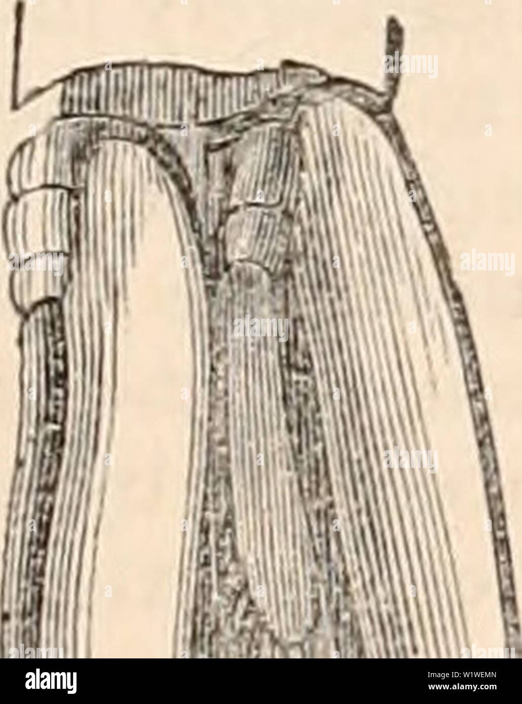 Number 779 hi-res stock photography and images - Alamy