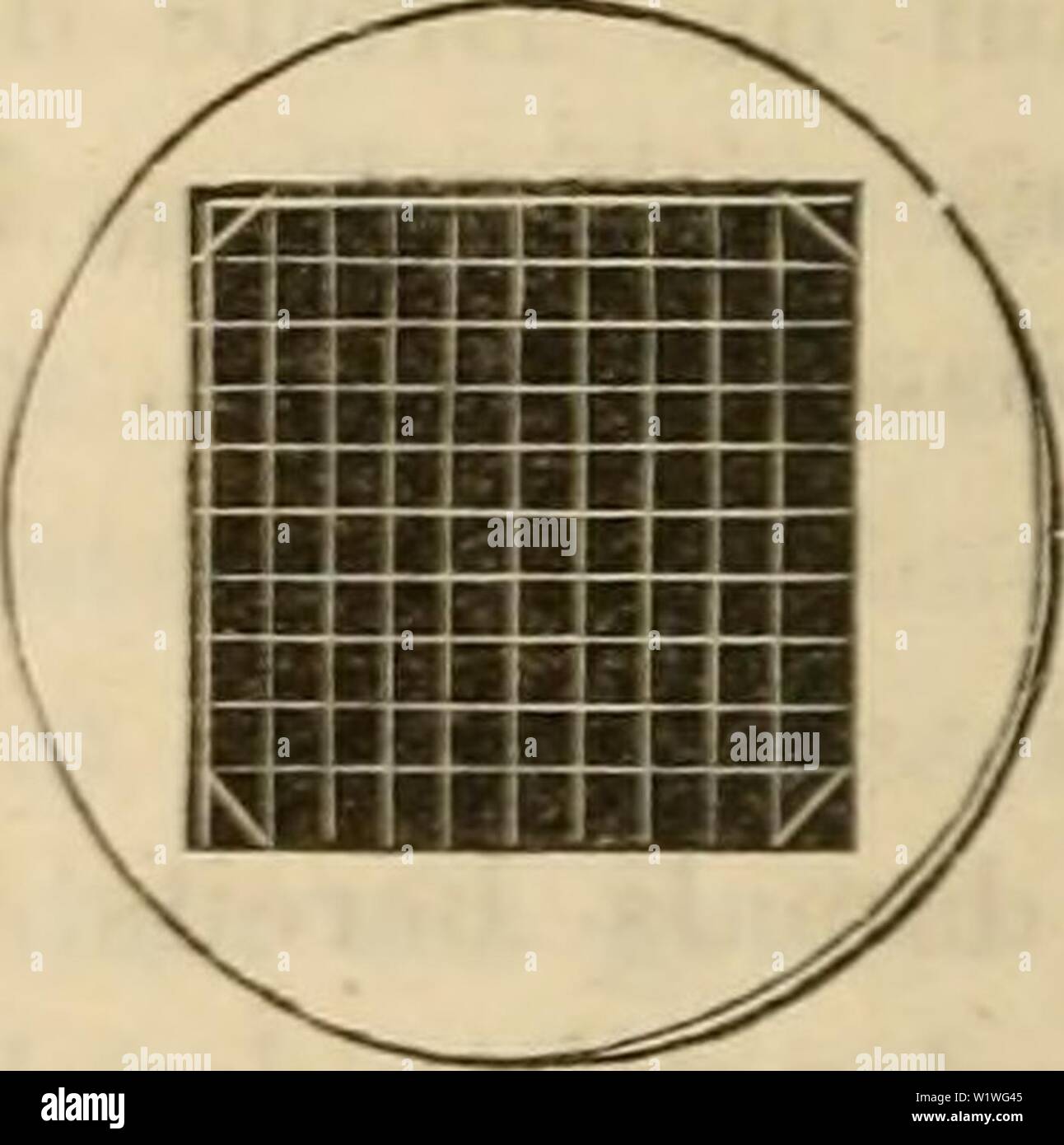Archive image from page 887 of Das mikroskop Theorie, gebrauch ...
