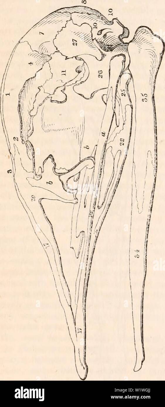 Project 921 hi-res stock photography and images - Alamy