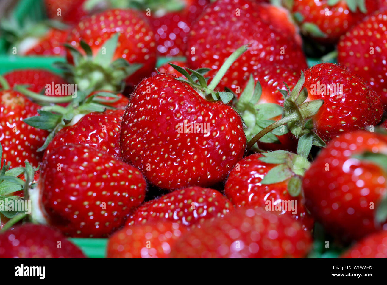 Ontario strawberries hi-res stock photography and images - Alamy
