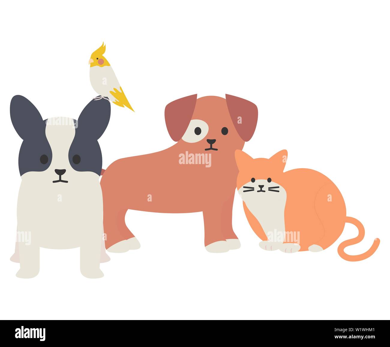 cute group of mascots adorables characters vector illustration design ...