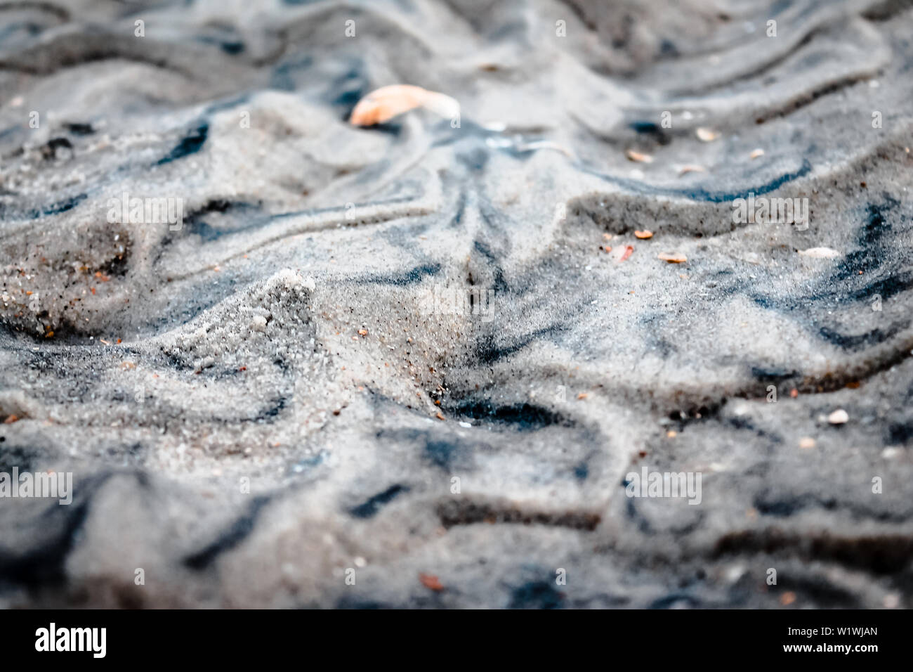 Crazy sand and shell textures Stock Photo - Alamy