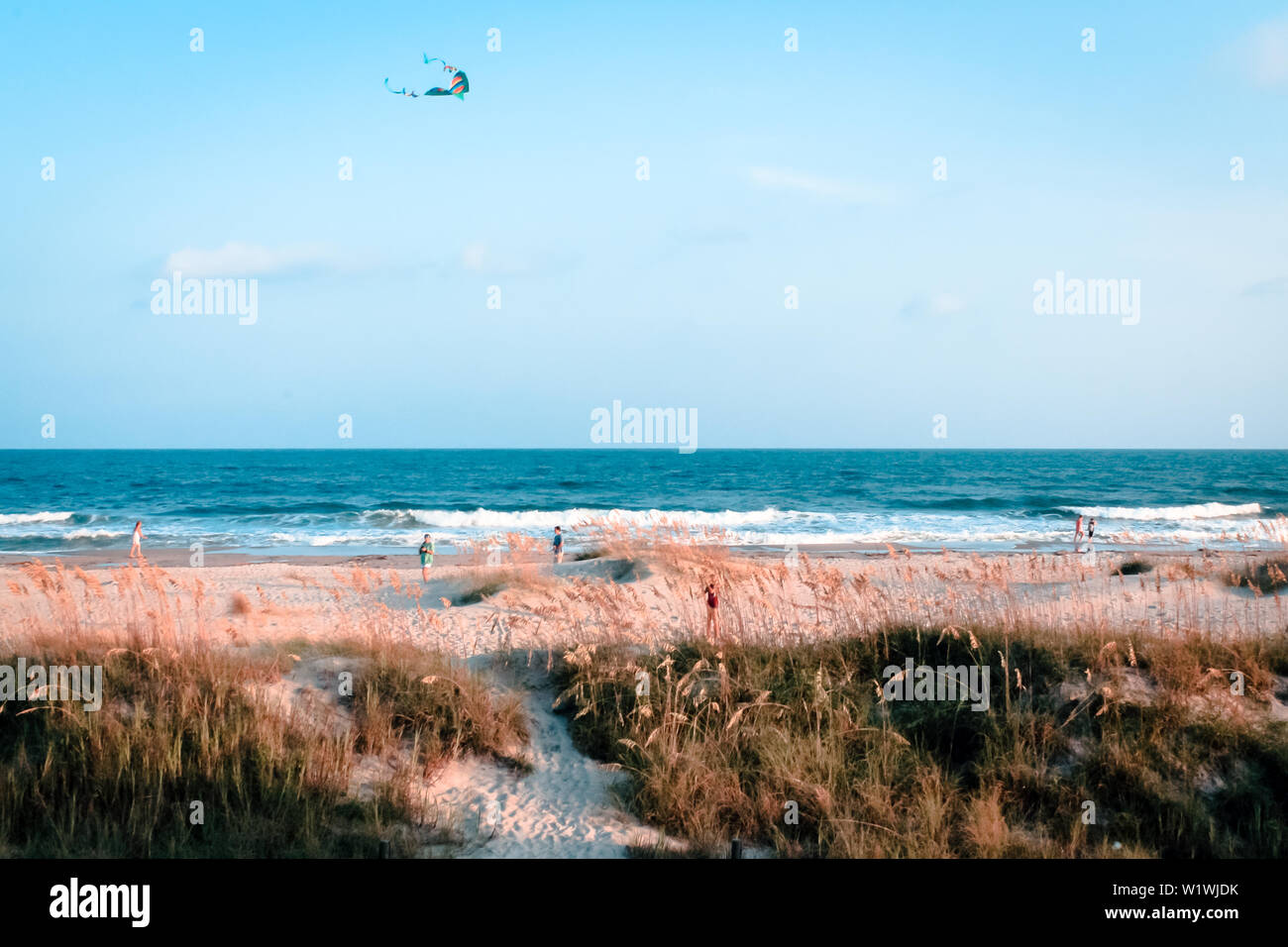 Flying kites on a windy day at the beach Stock Photo - Alamy
