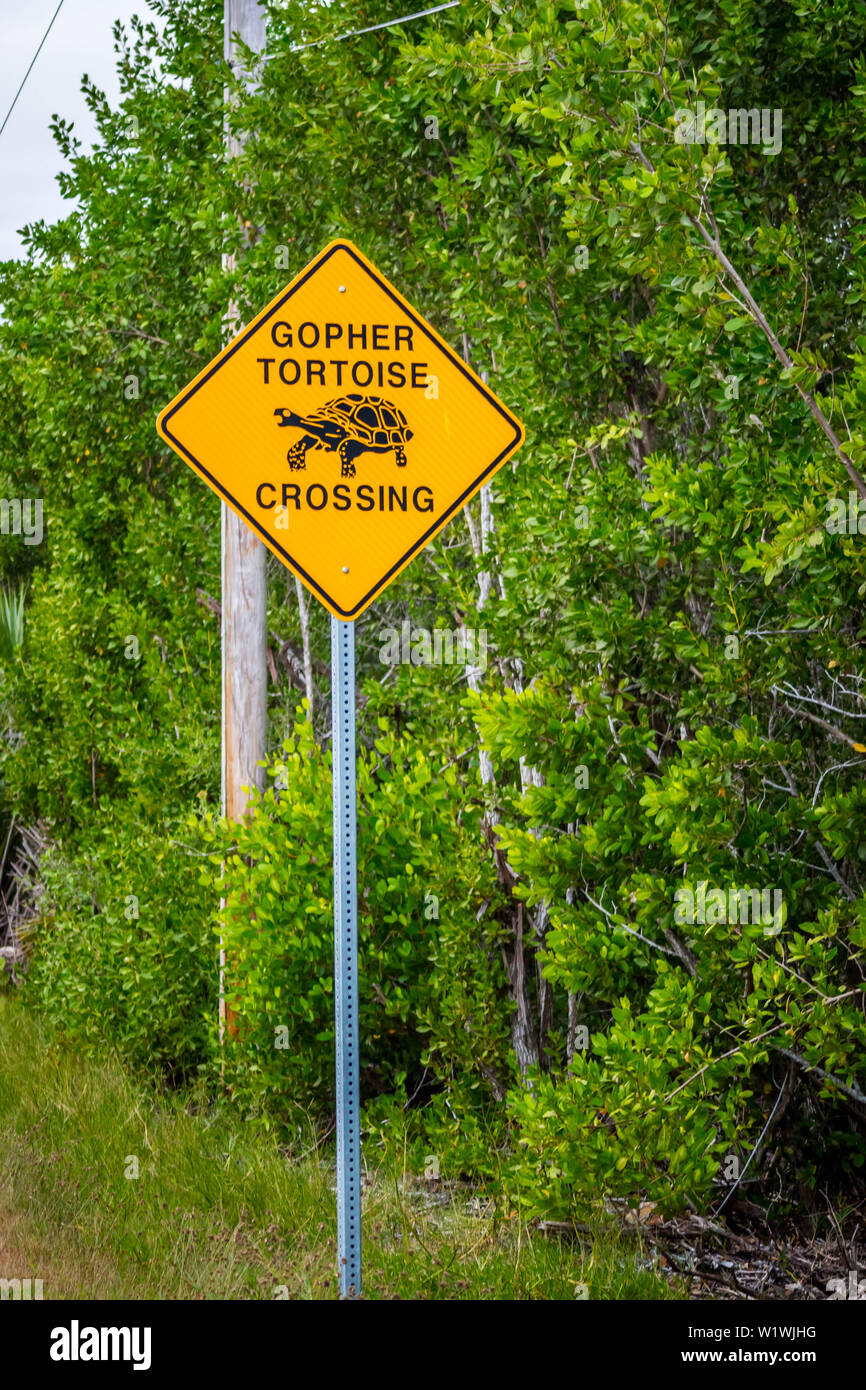 Tortoise crossing road sign High Resolution Stock Photography and ...