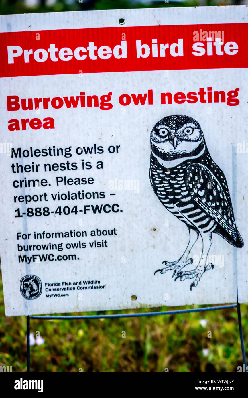 Coral area entry hi-res stock photography and images - Alamy