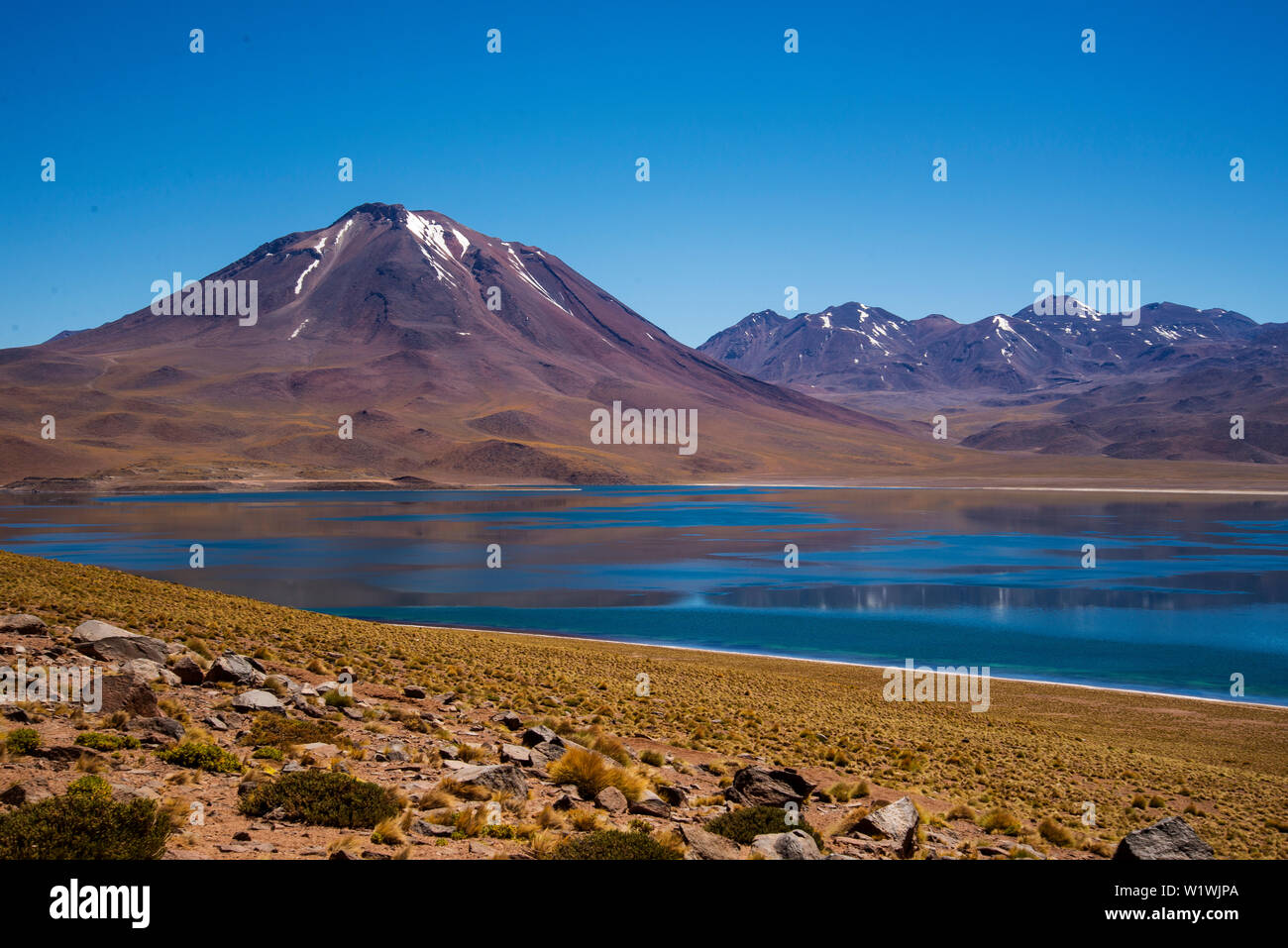 Miniques Lagoon on the Atacama Desert, Chile Stock Photo - Alamy