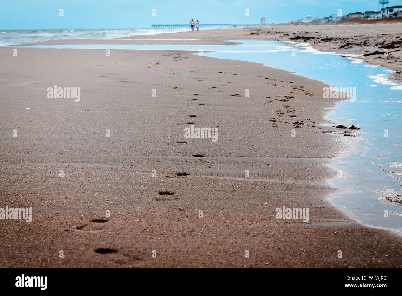 People leaving footprints in the sand Stock Photo - Alamy