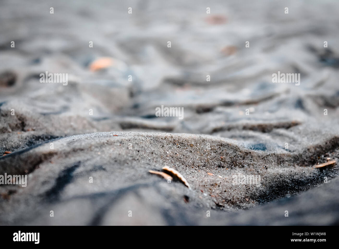 Sand and Shell Macro textures Stock Photo - Alamy
