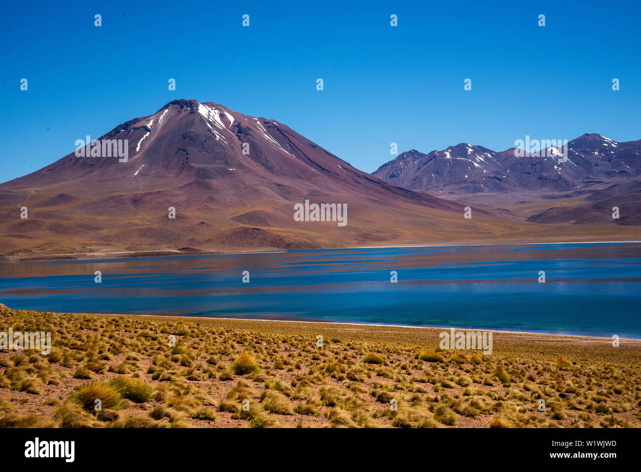Miniques Lagoon on the Atacama Desert, Chile Stock Photo - Alamy