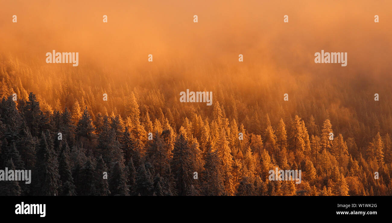 Ice fog hi-res stock photography and images - Alamy