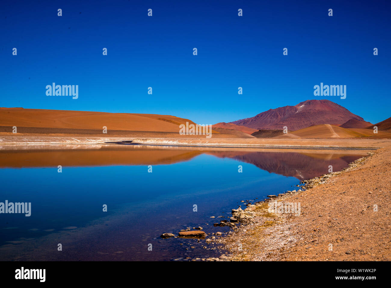 Atacama lagoon hi-res stock photography and images - Alamy