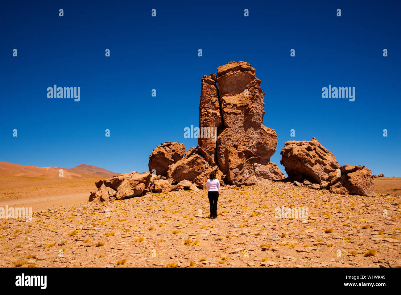 Very dry landscape hi-res stock photography and images - Alamy