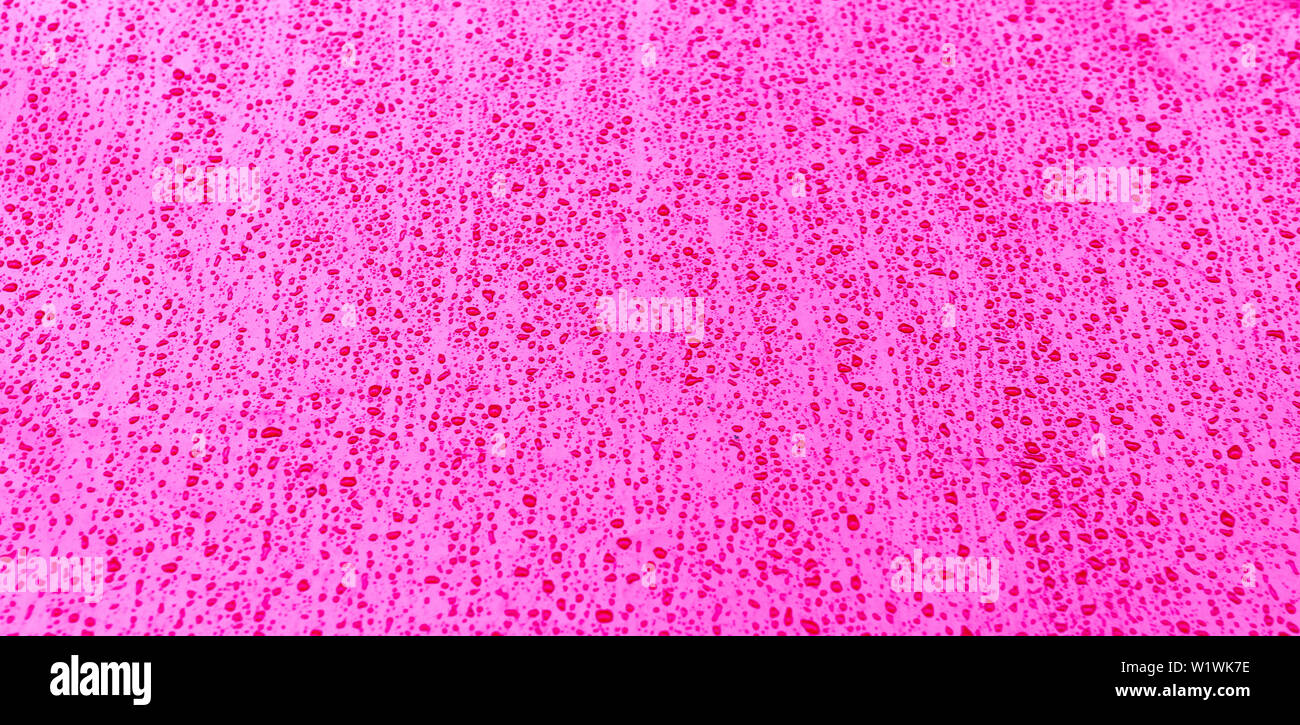 Rain drops on pink background close-up. Water drops pink texture Stock ...