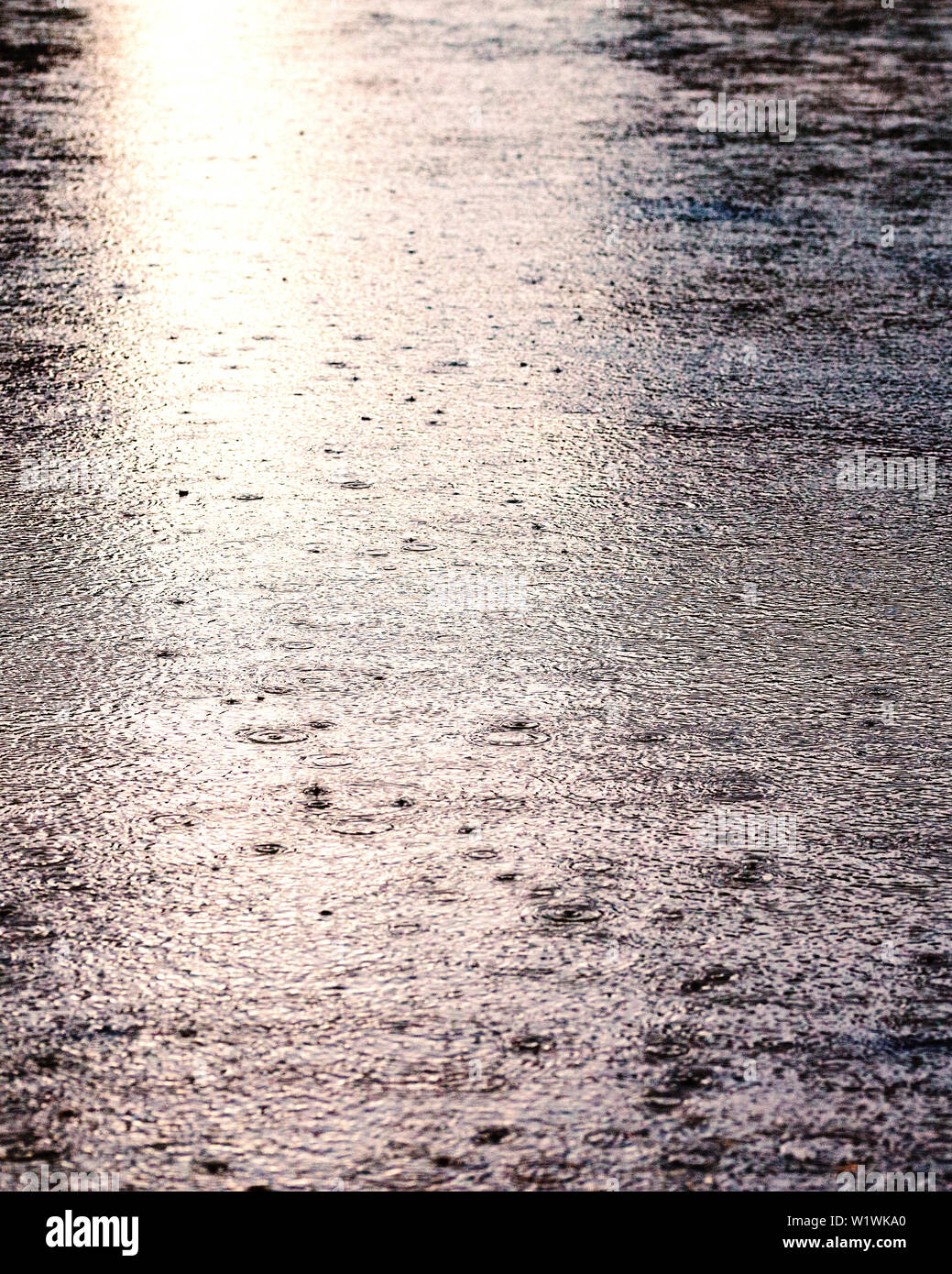 Rain drops falling puddle in hi-res stock photography and images - Alamy
