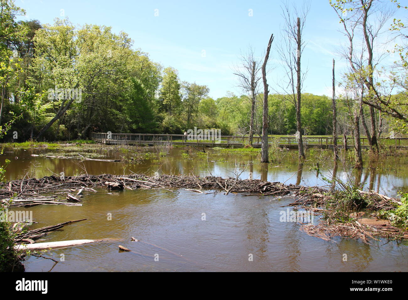 Mason neck state park hi-res stock photography and images - Alamy