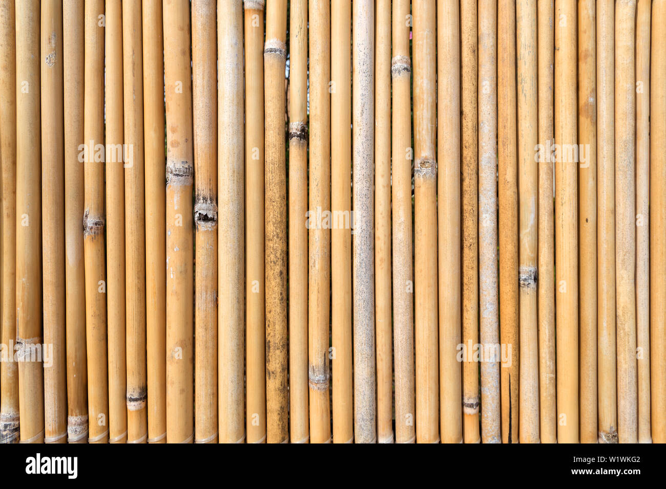 Textured photo of a vertical thin brown bamboo wall Stock Photo - Alamy