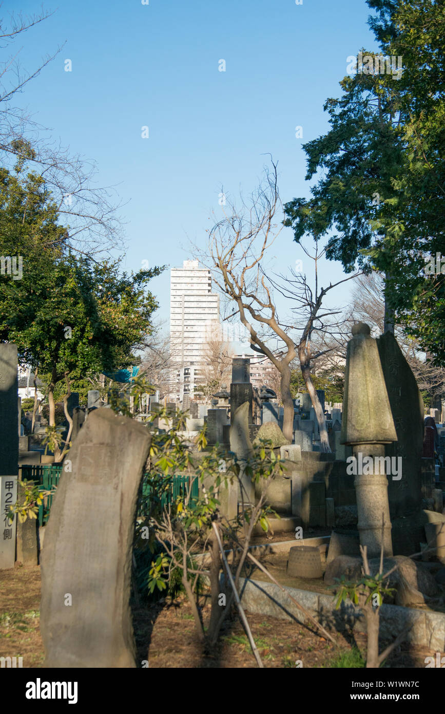 Ancient Cemetery contrasting with modern building, Tokyo Japan Stock ...