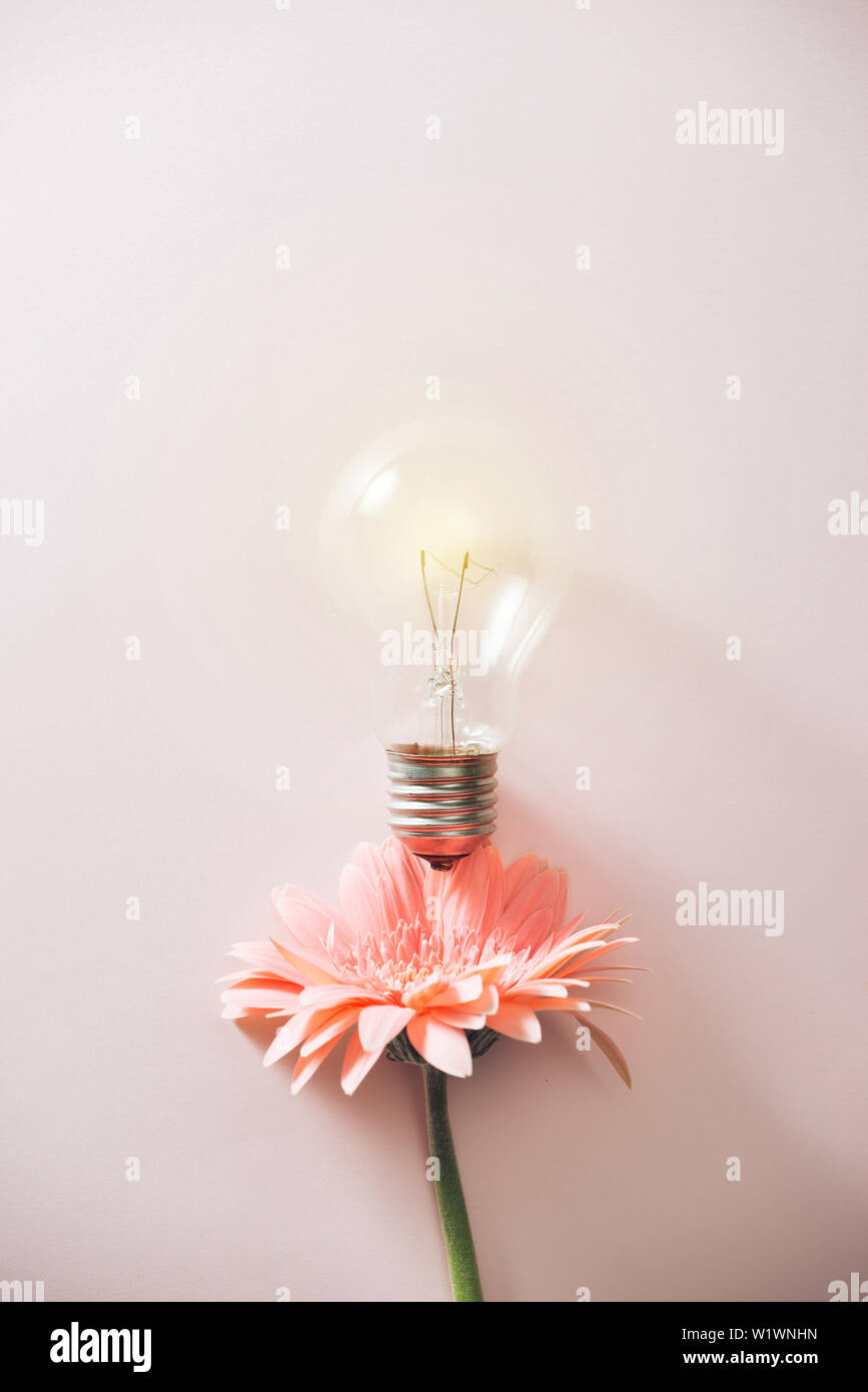 Light bulb beautiful flower hi-res stock photography and images - Alamy