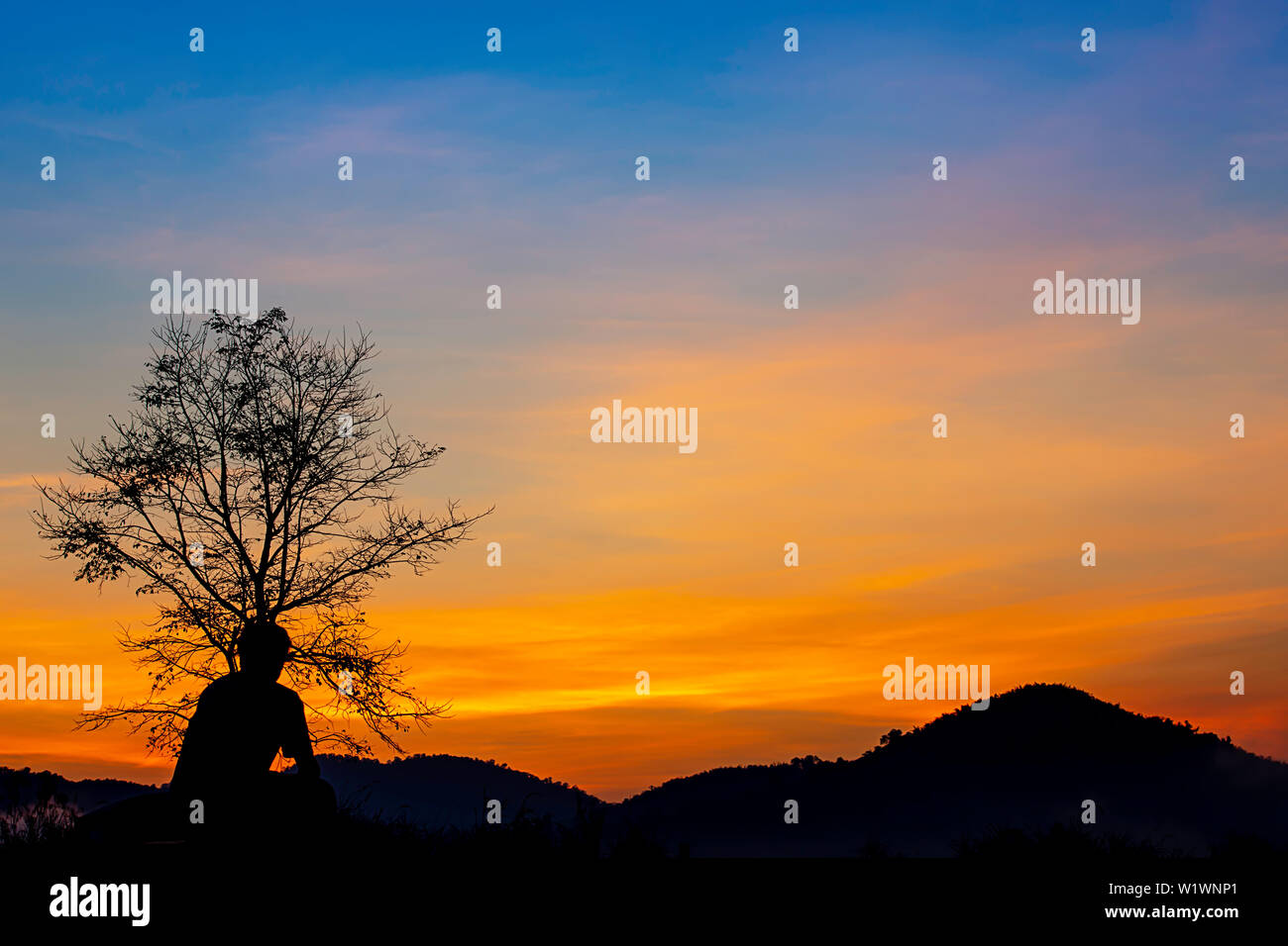 Beauty shadow hi-res stock photography and images - Alamy