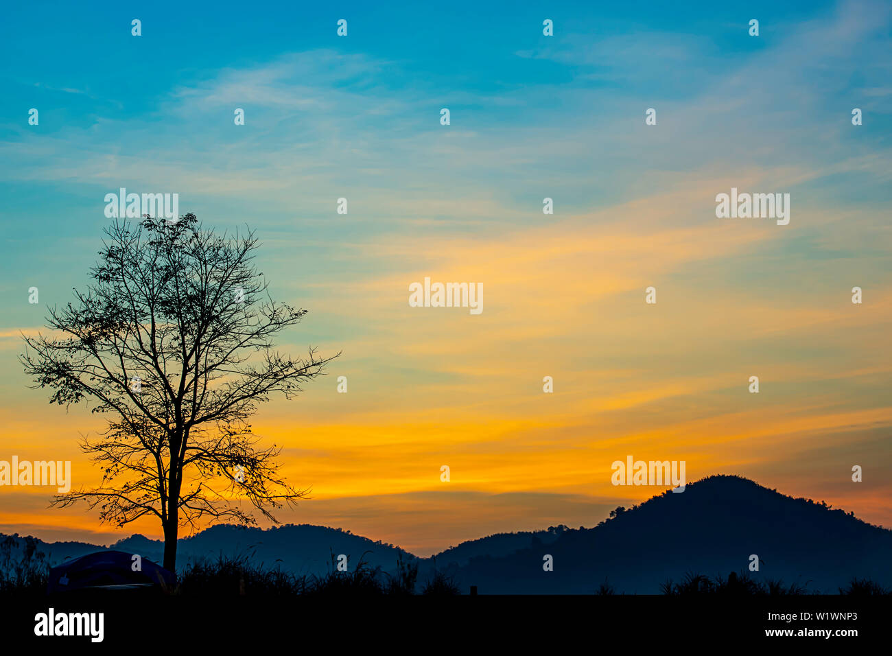 Sun behind palm tree hi-res stock photography and images - Alamy