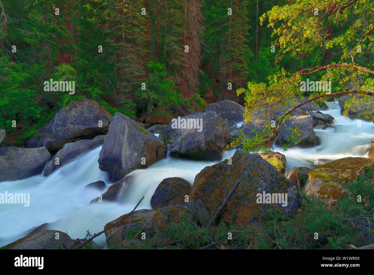 The Rapids and The Rocks Stock Photo - Alamy