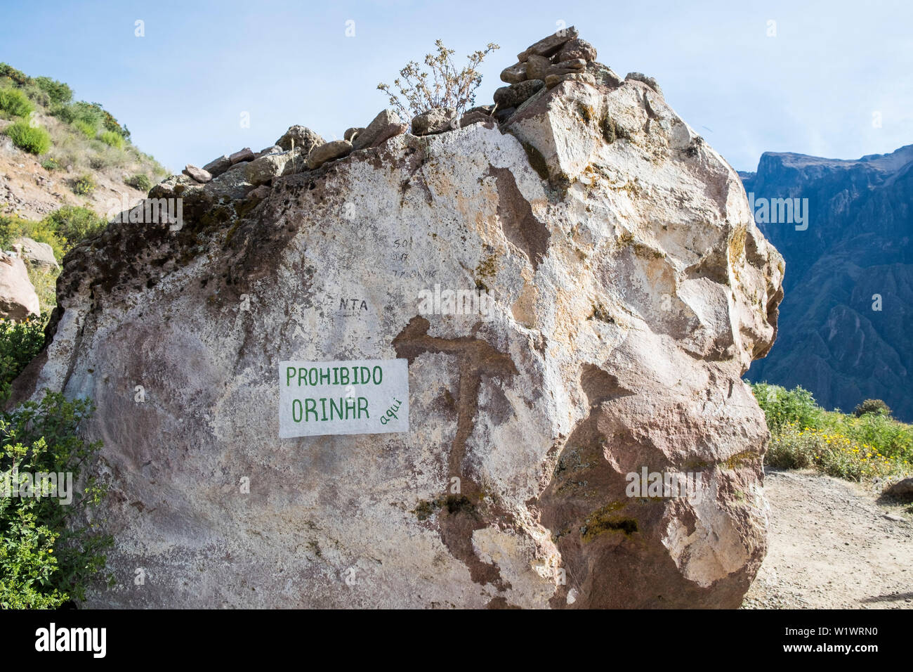 Perù, Cruz del Condor in Colca canyon Stock Photo - Alamy