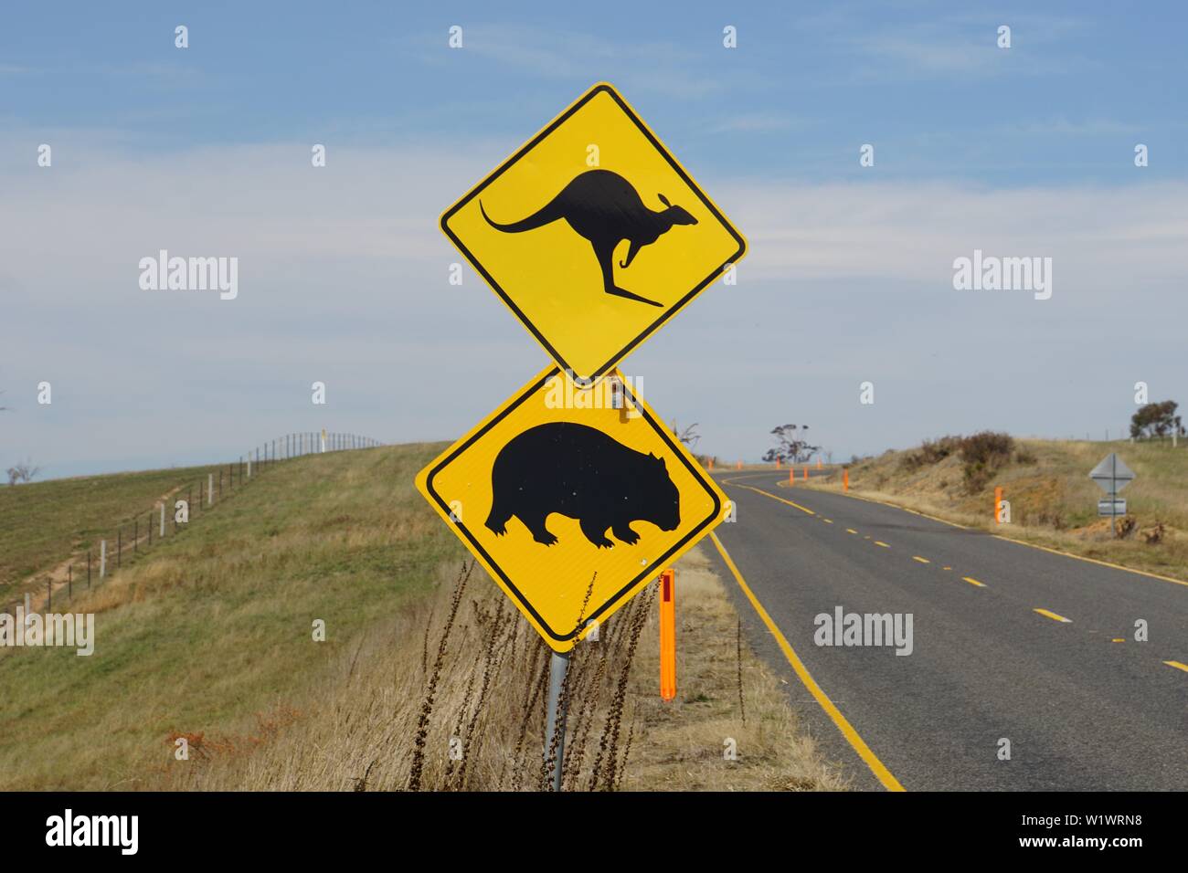 Kangaroo and Wombat Crossing Sign on an Australian Country Road Stock ...
