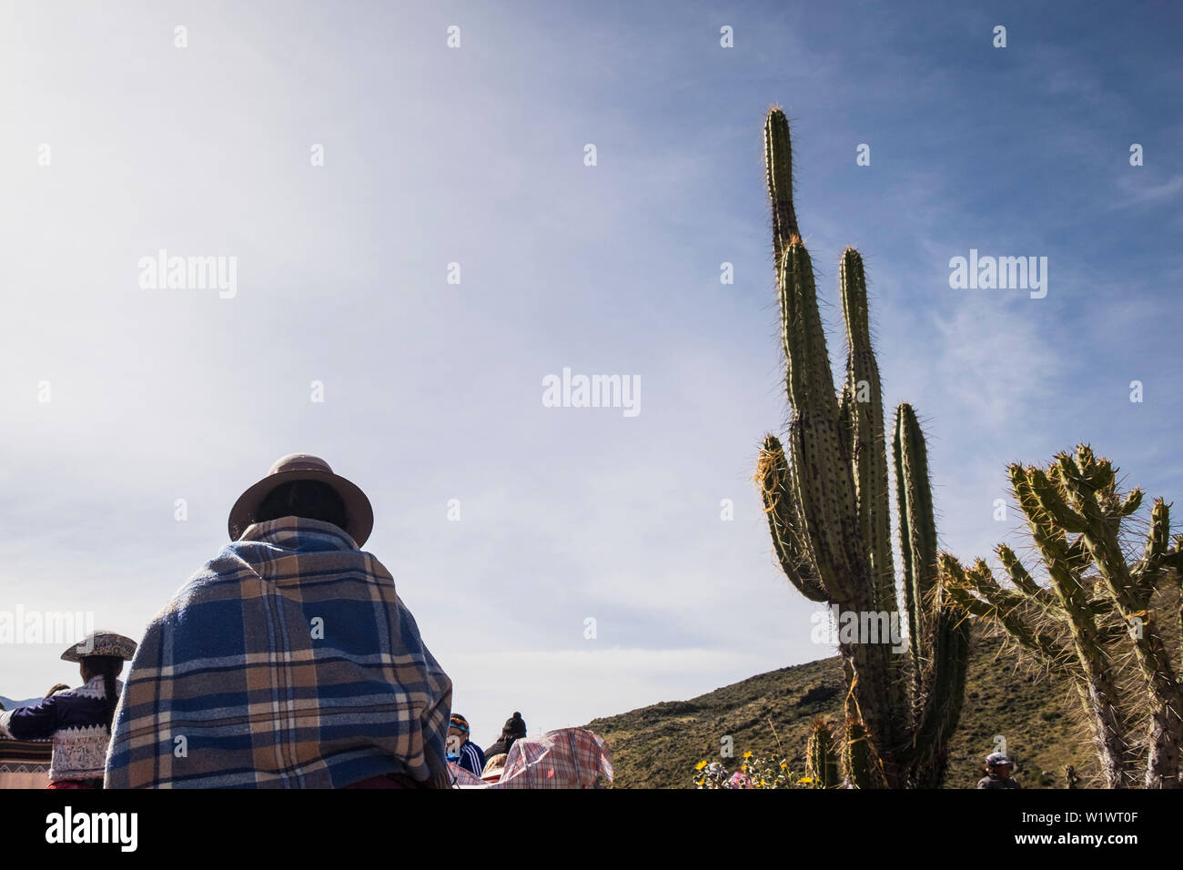 Perù, Cruz del Condor in Colca canyon Stock Photo - Alamy