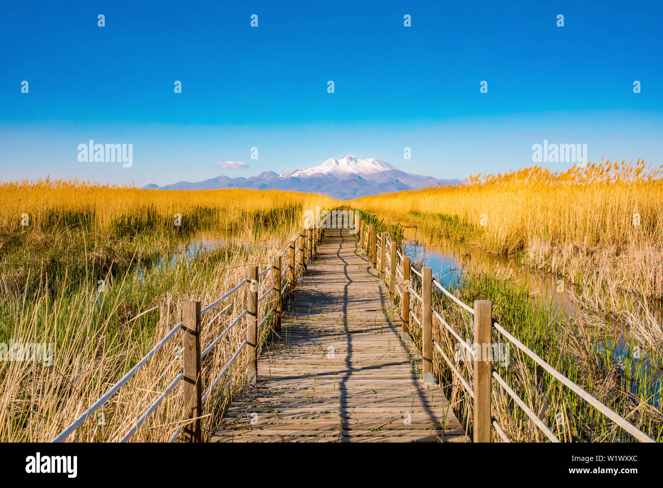 Wooden bridge walkway path on marshes and reeds in front of mountain ...