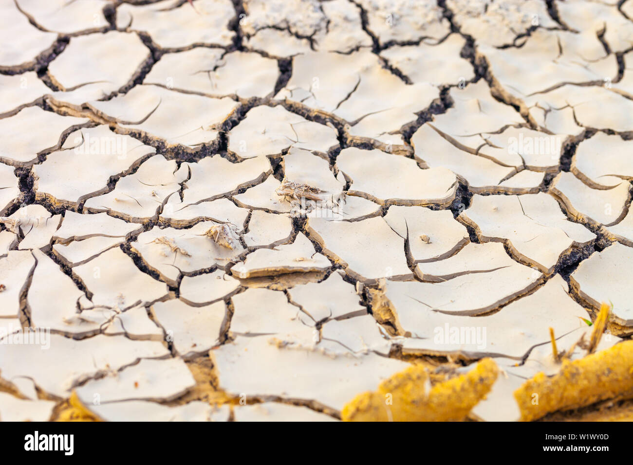 Dried and cracked earth pattern, drought concept Stock Photo - Alamy