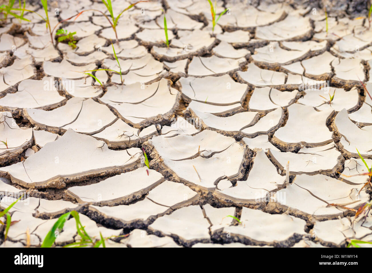 Dried and cracked earth pattern, drought concept Stock Photo - Alamy