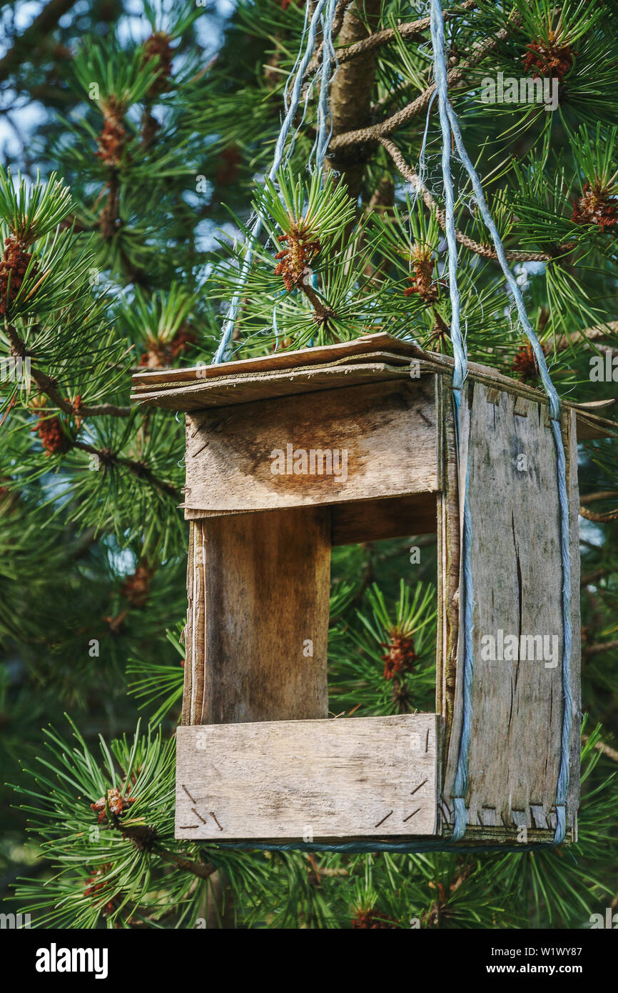 Empty handmade old wooden bird feeding trough hanging from a pine tree ...