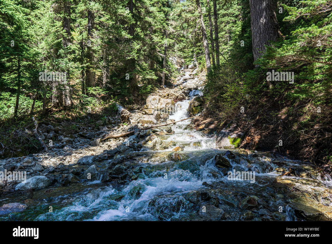 fast mountain stream at summer time in in garibaldi provincial park ...