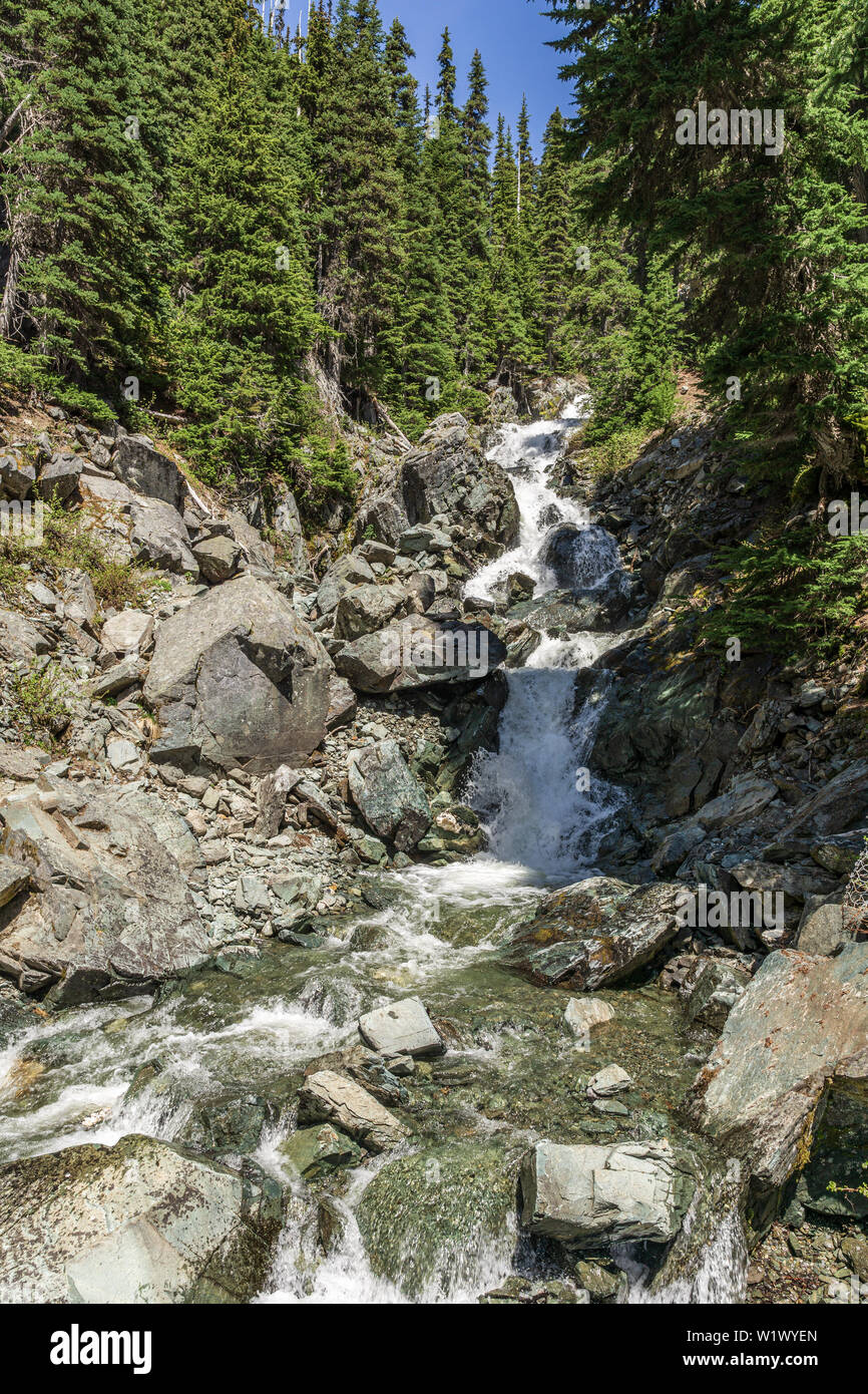 fast mountain stream at summer time in in garibaldi provincial park ...