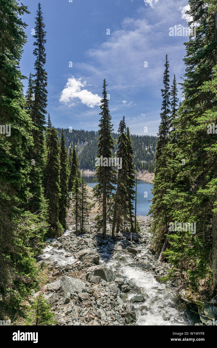 fast mountain stream at summer time in in garibaldi provincial park ...