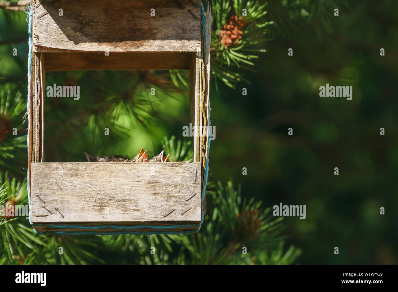 Sitting trough hi-res stock photography and images - Alamy