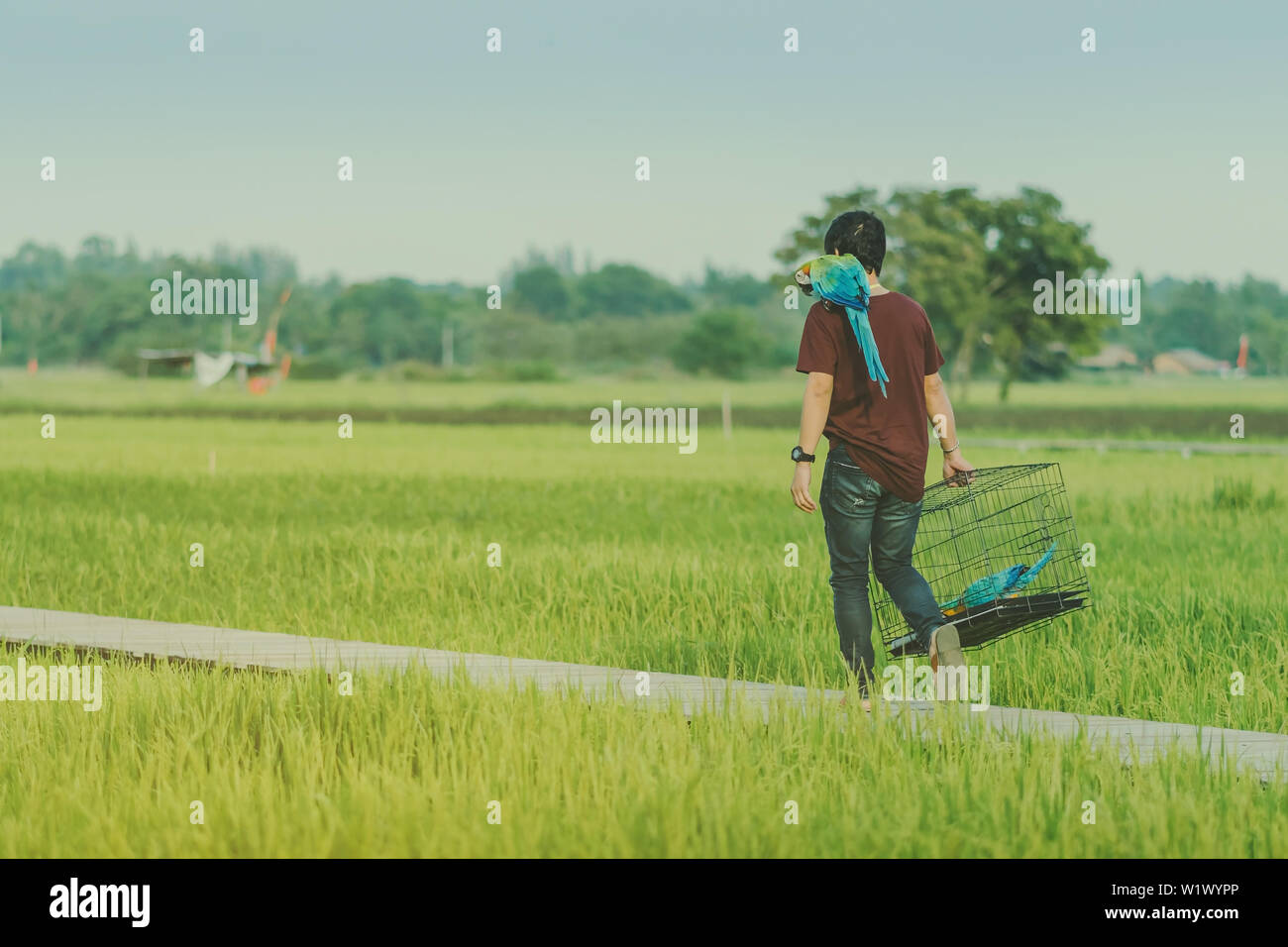 Man carrying bird cage hi-res stock photography and images - Alamy